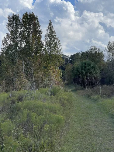 Best Hikes and Trails in PEAR Environmental Park | AllTrails