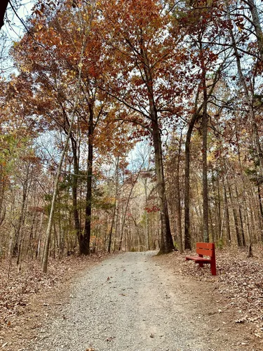 Best Hikes and Trails in Manning Mill Park | AllTrails