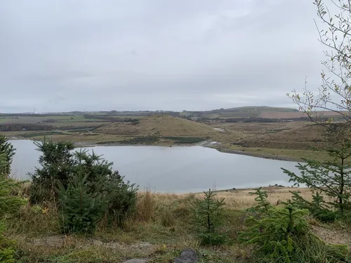 2023 Best Forest Trails in Kelty | AllTrails