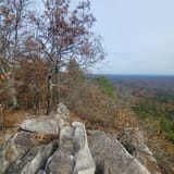 Kings Chair Loop, Alabama - 1,768 Reviews, Map | AllTrails