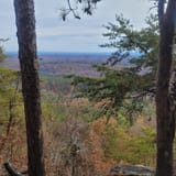 Kings Chair Loop, Alabama - 1,768 Reviews, Map | AllTrails