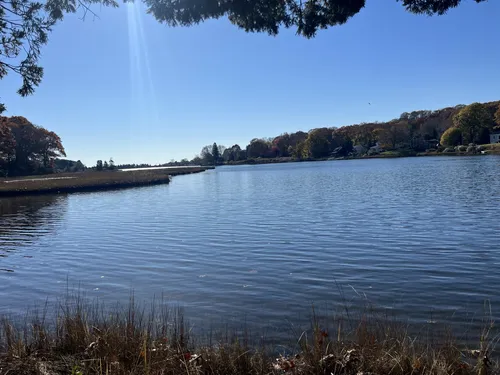 Best Hikes and Trails in Knox Family Farm Preserve | AllTrails