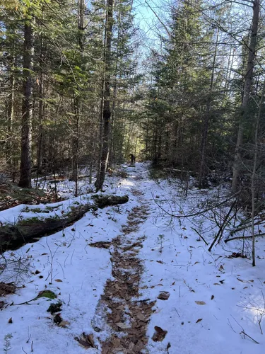 Best Hikes and Trails in North Creek | AllTrails