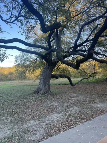 Best Hikes and Trails in Rowlett Creek Preserve | AllTrails