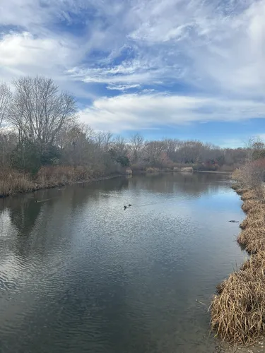 10 Best Walking Trails in Richmond Hill | AllTrails