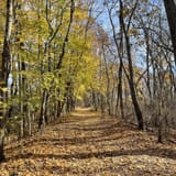 Ryan Park Loop, Rhode Island - 422 Reviews, Map | AllTrails