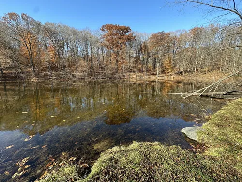 Best Hikes and Trails in Kalamazoo Nature Center | AllTrails