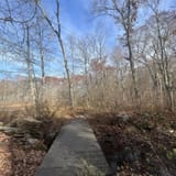 Pequot Woods, Connecticut - 308 Reviews, Map | AllTrails