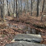 Pequot Woods, Connecticut - 308 Reviews, Map | AllTrails