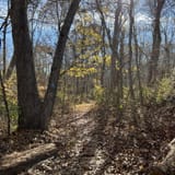 Pequot Woods, Connecticut - 308 Reviews, Map | AllTrails