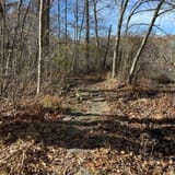 Pequot Woods, Connecticut - 308 Reviews, Map | AllTrails