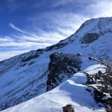 McNeil Point Trail, Oregon - 2,755 Reviews, Map | AllTrails