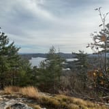 Bald Pate Mountain Trails, Maine - 792 Reviews, Map | AllTrails