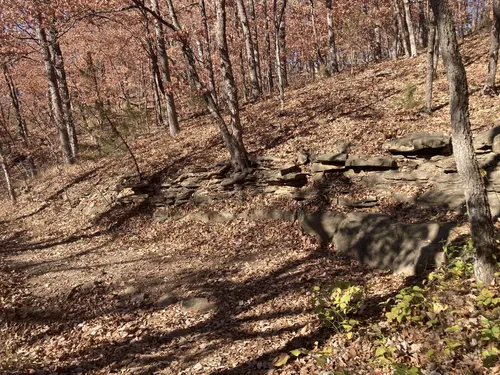 Best Walking Trails in Sedalia | AllTrails