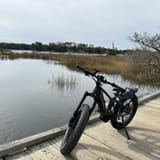 Cape Henry Trail, Virginia - 553 Reviews, Map | AllTrails