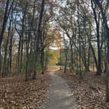 Fore River Sanctuary White Trail, Maine - 1,275 Reviews, Map | AllTrails