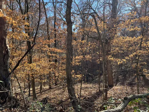 Best Hikes and Trails in Stemler Cave Woods Nature Preserve | AllTrails