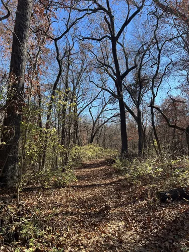 Best Hikes and Trails in Stemler Cave Woods Nature Preserve | AllTrails