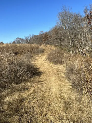 Best Hikes and Trails in Stemler Cave Woods Nature Preserve | AllTrails