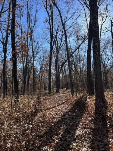 Best 10 Hiking Trails in Stemler Cave Woods Nature Preserve | AllTrails