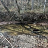 Big Berea Trail, Bull Creek Trail, and White Pine Loop, North Carolina ...