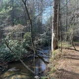 Big Berea Trail, Bull Creek Trail, and White Pine Loop, North Carolina ...