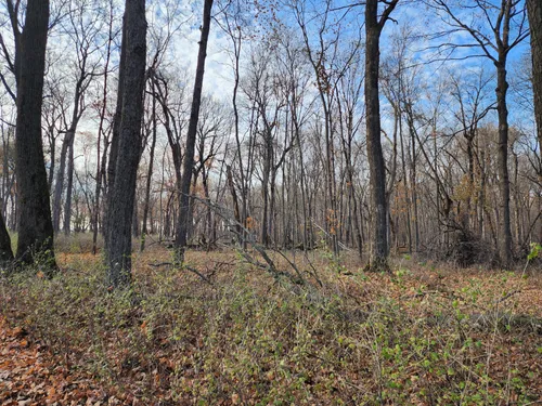 Best Hikes and Trails in Myre-Big Island State Park | AllTrails