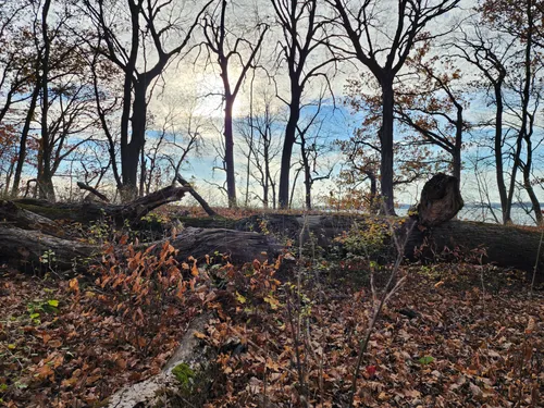 Best Hikes and Trails in Myre-Big Island State Park | AllTrails