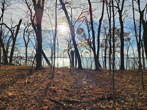 Best Hikes and Trails in Myre-Big Island State Park | AllTrails