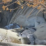 Seven Tea Cups (7TC) via Dry Creek Meadow, California - 229 Reviews ...