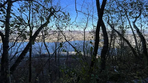 2023 Best Lake Trails in Winona | AllTrails