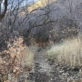 Maple Canyon to Whiting Campground, Utah - 607 Reviews, Map | AllTrails