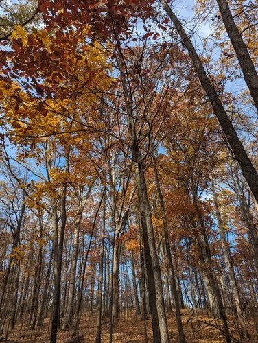 Best Hikes and Trails in Claude Moore Park | AllTrails