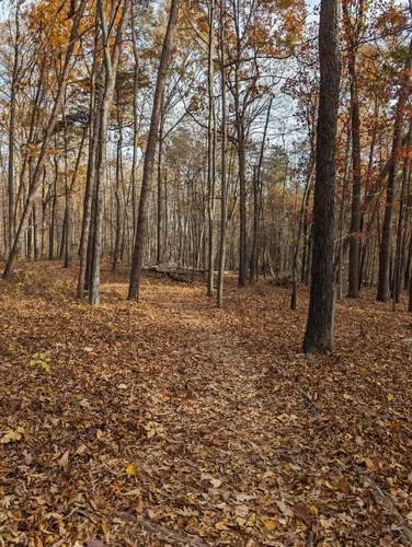 Best Hikes and Trails in Claude Moore Park | AllTrails