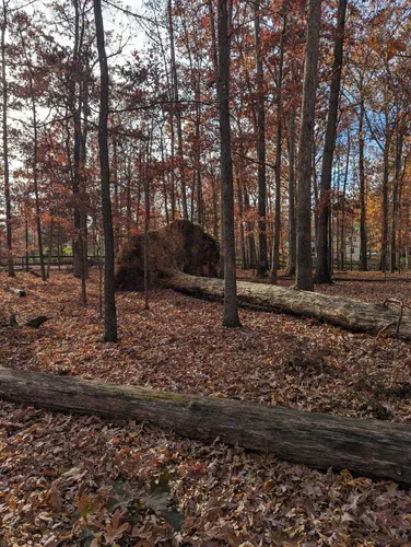 Best Hikes and Trails in Claude Moore Park | AllTrails