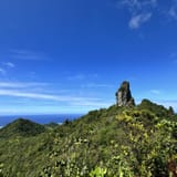 Cross Island Track and The Needle, Rarotonga, Cook Islands - 191 ...