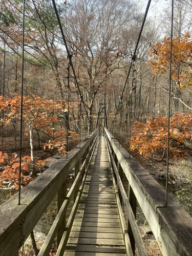 Best Hikes and Trails in Three Ridges Wilderness | AllTrails