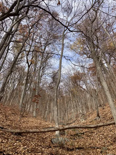 Best Hikes and Trails in Three Ridges Wilderness | AllTrails