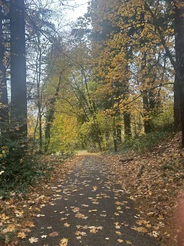 Best Hikes and Trails in Leverich Park | AllTrails