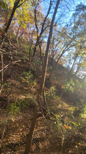 Best Hikes And Trails In Garrison Rock Resource Management Area Alltrails