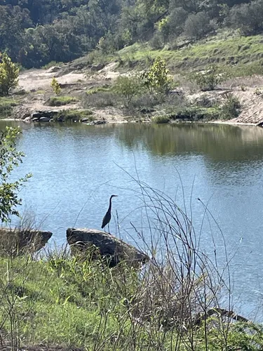 2023 Best Views Trails in Milton Reimers Ranch Park | AllTrails