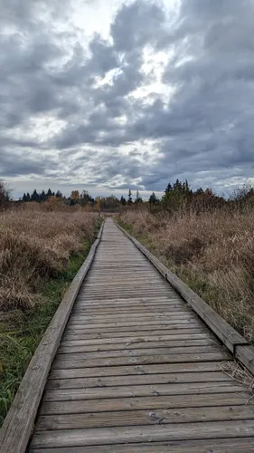 Best Hikes and Trails in North Creek Park | AllTrails