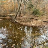 Poor Farm Park Trails, Virginia - 594 Reviews, Map | AllTrails
