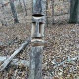 Poor Farm Park Trails, Virginia - 594 Reviews, Map | AllTrails