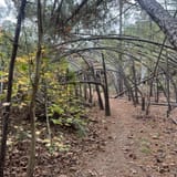Poor Farm Park Trails, Virginia - 594 Reviews, Map | AllTrails