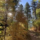 See Spring Trail, Arizona - 641 Reviews, Map | AllTrails