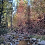 See Spring Trail, Arizona - 641 Reviews, Map | AllTrails