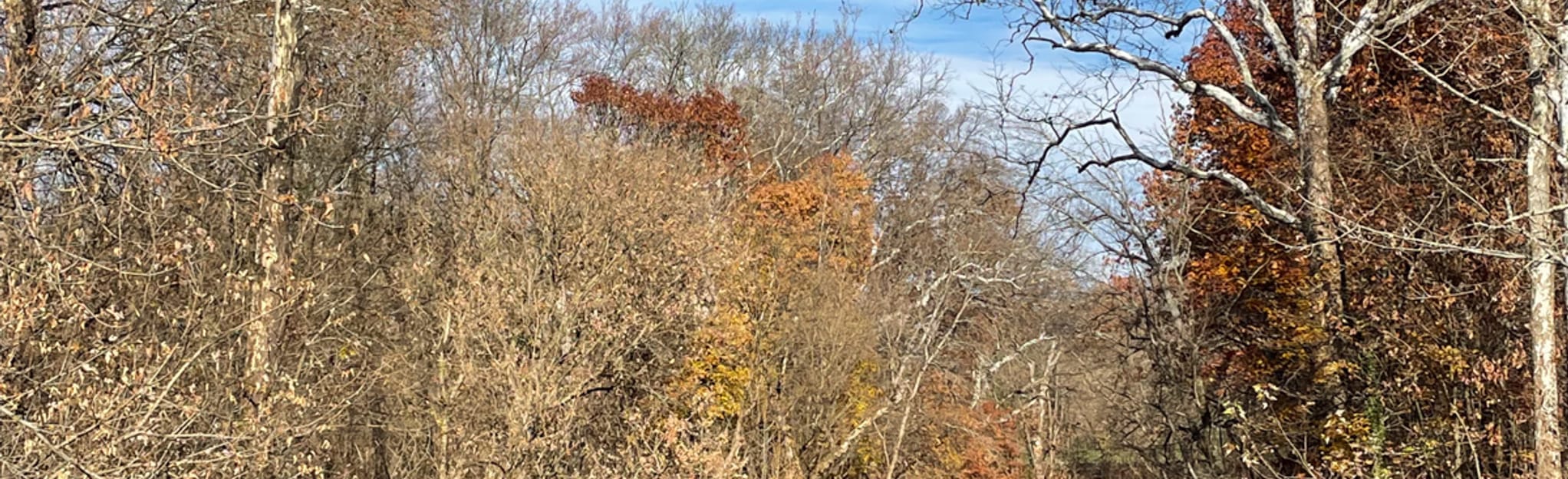 Skippack Creek Loop Trail, Pennsylvania - 3,487 Reviews, Map | AllTrails