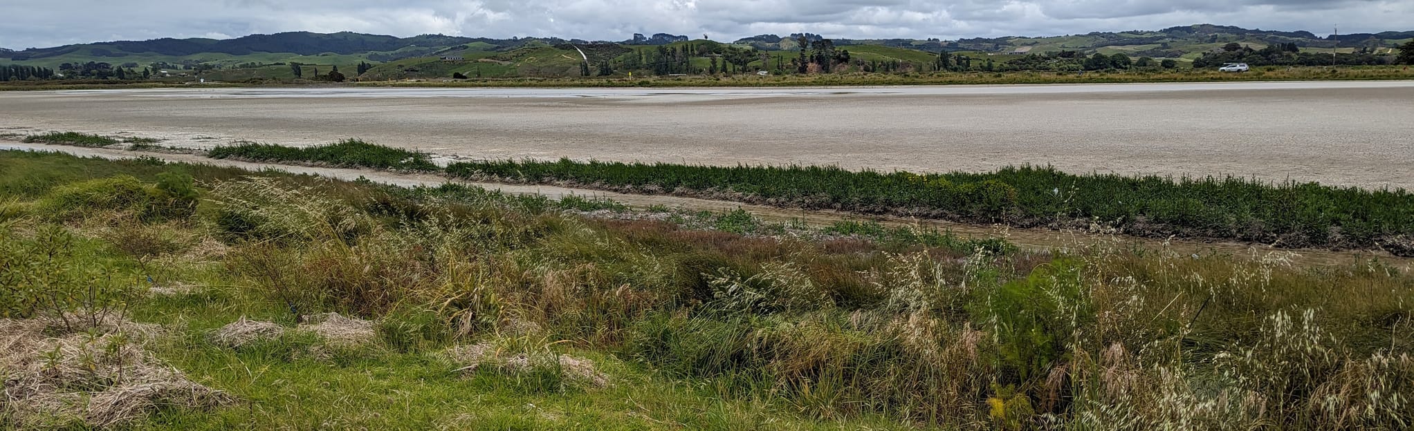 Miranda Bird Hide Track: 15 foto's - Waikato, Nieuw-Zeeland | Wandelen ...