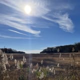 Barn Island Wildlife Management Area Trail, Connecticut - 715 Reviews ...